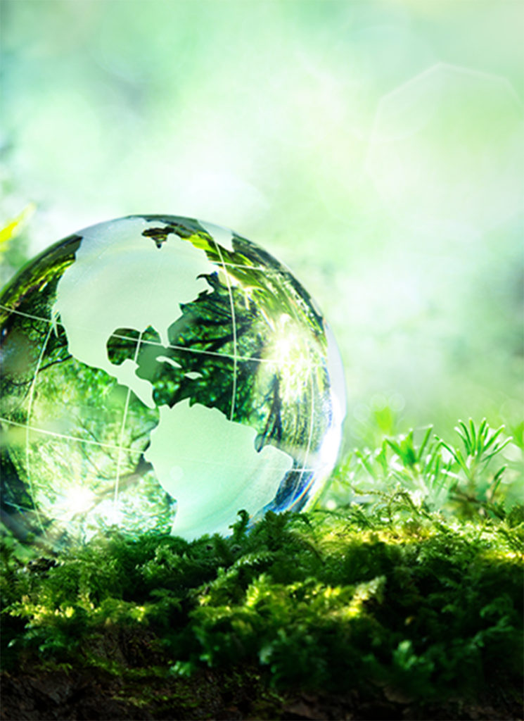 front-csr-bg | WORLD HOLDINGS CO., LTD.